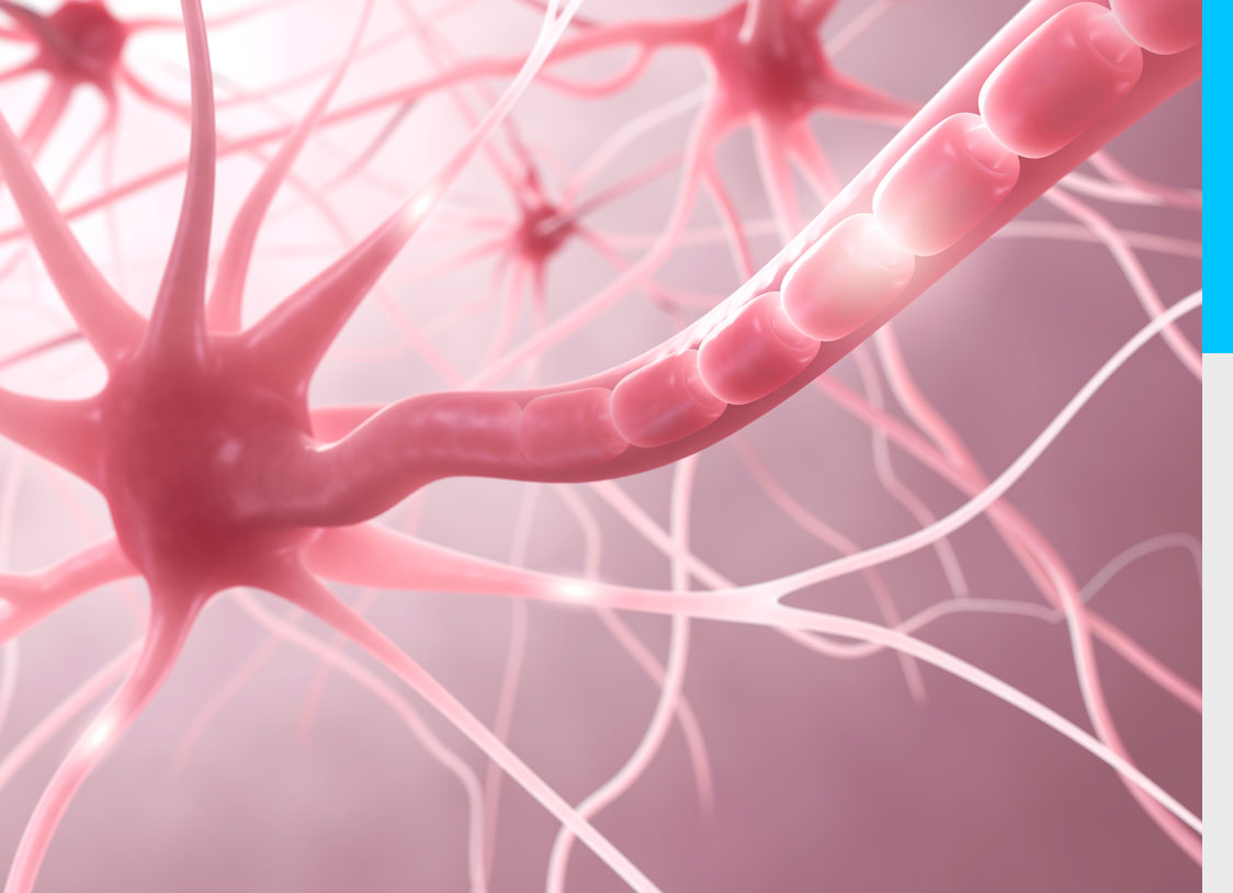 ENFD Testing – Ipsum Diagnostics